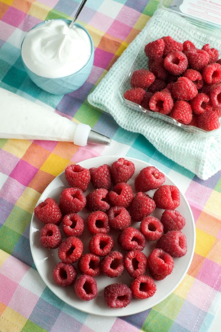 Homemade Fruit Snack: Frozen Yogurt Raspberries - Super Healthy Kids