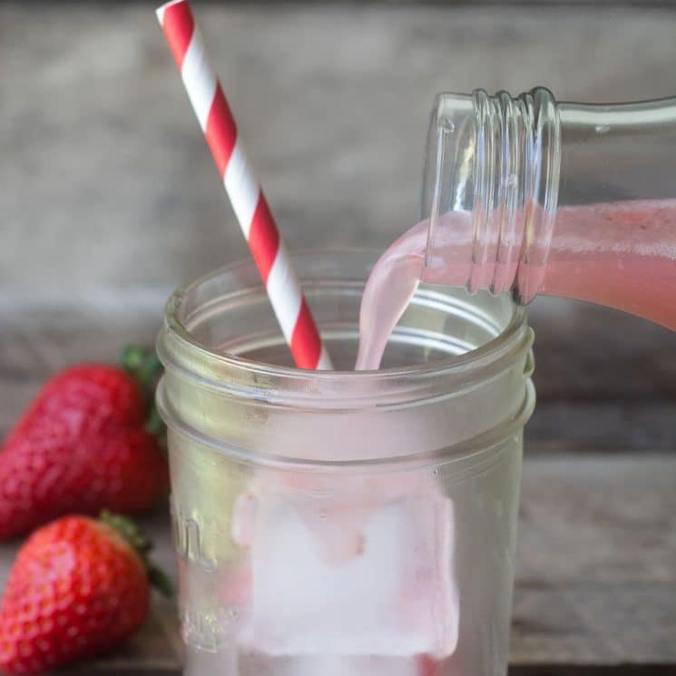 All Natural Sugar Free Fruit Soda - Super Healthy Kids