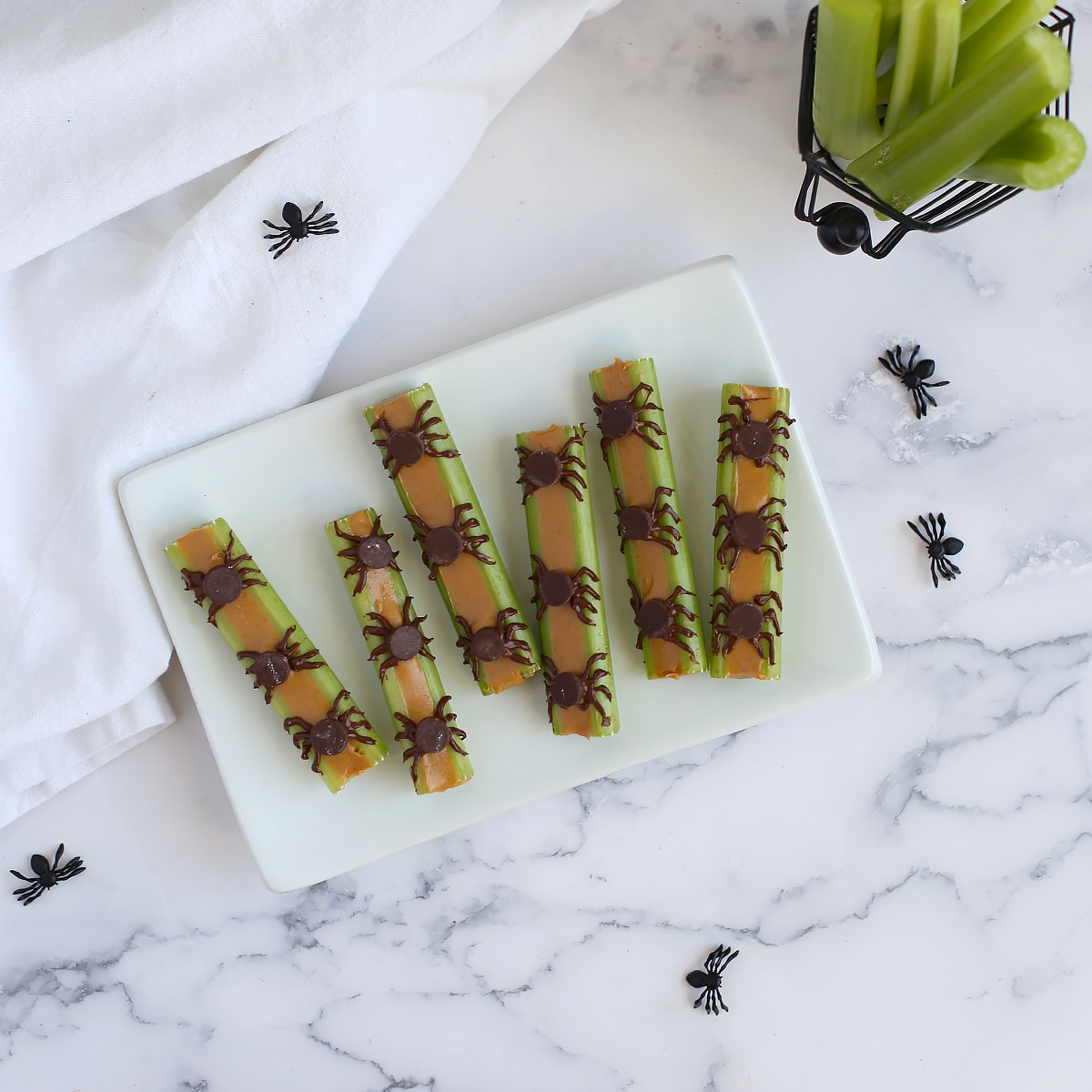 Spiders on a Log - SHK