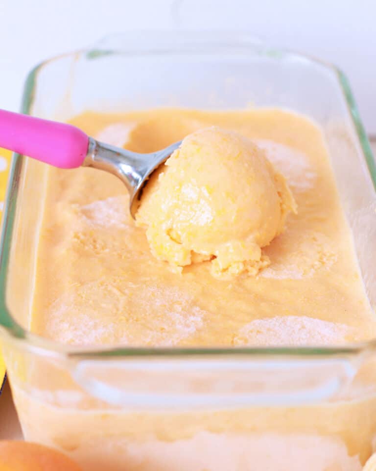 Orange Creamsicle Ice Cream - Made with Real Oranges!