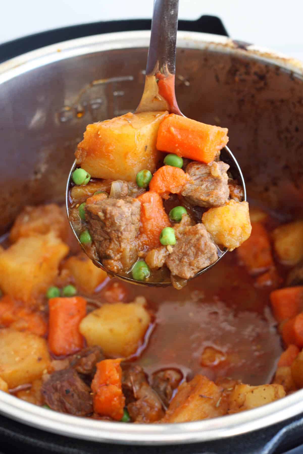 Instant Pot Beef Stew - Super Healthy Kids - THE CARE NEWS