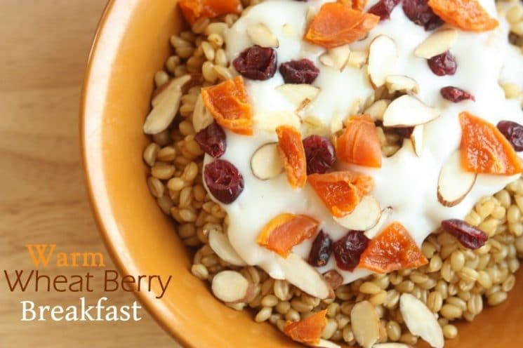 Warm Wheat Berry Breakfast - SHK